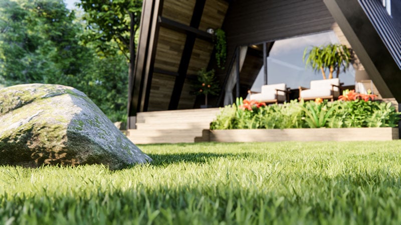 Enscape | Top Tips for Rendering 3D Grass