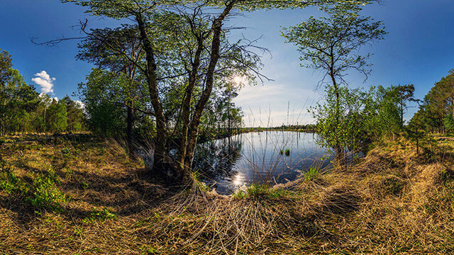 A Simple Guide to Lighting Basics for 3D Rendering in Enscape